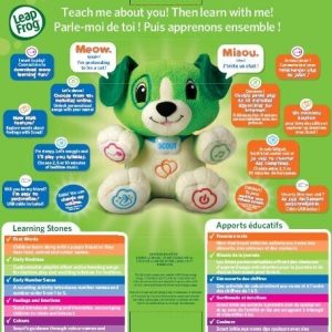 Mon Ami Scout - Un jour un jeu