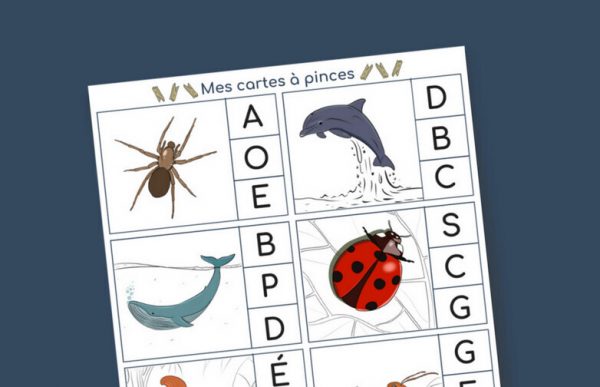 Cartes à pince : combiner la motricité fine à d'autres apprentissages ...