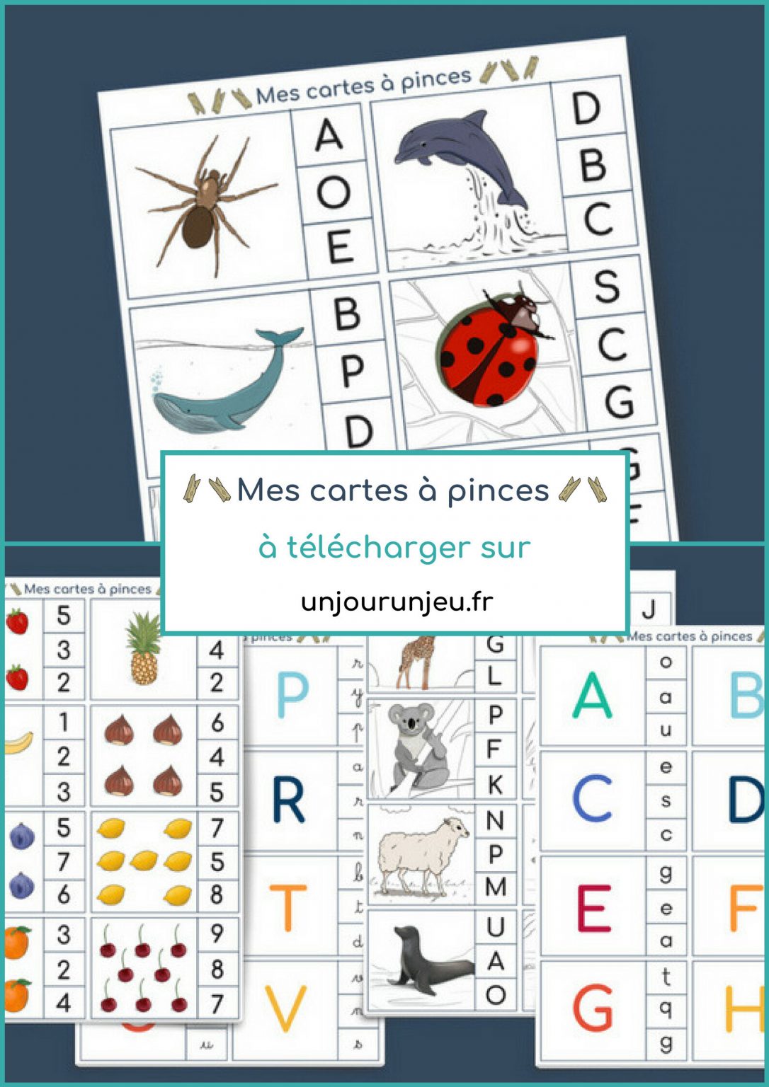 Cartes à pince : combiner la motricité fine à d'autres apprentissages ...