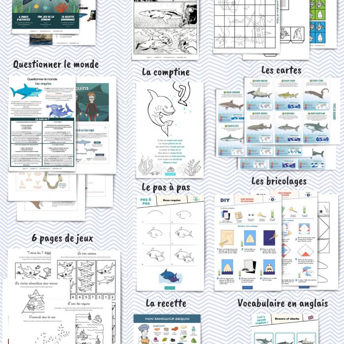 Les P'tits Ouistitis et les requins - Un jour un jeu