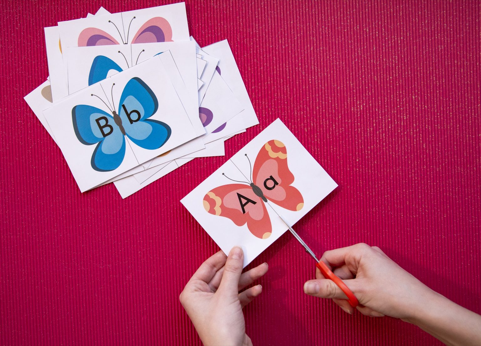 Mon double alphabet des papillons - Un jour un jeu