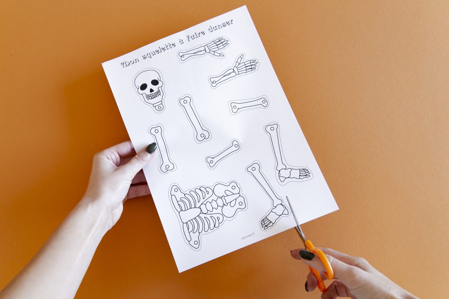 Atelier pour Halloween : mon squelette à faire danser - Un jour un jeu