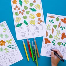 Mes feuilles d'automne à dénombrer - Un jour un jeu