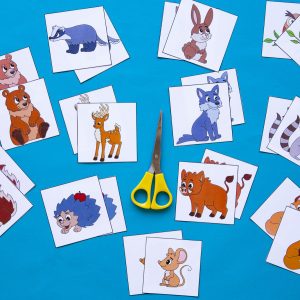 Mon memory des animaux de la forêt - Un jour un jeu