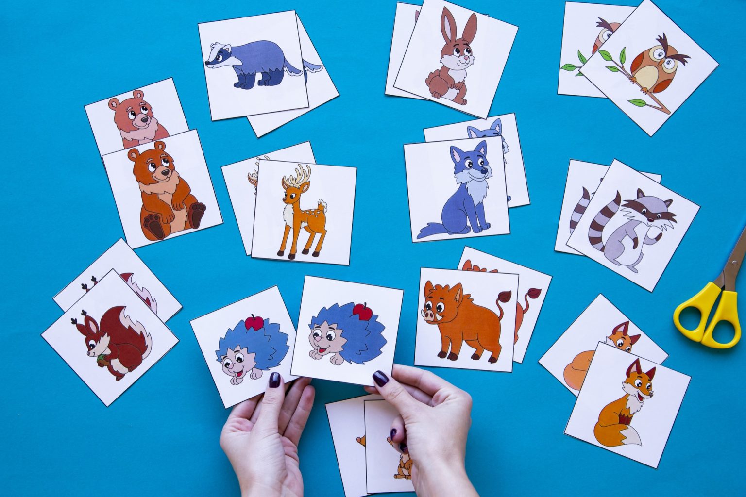 Mon memory des animaux de la forêt - Un jour un jeu