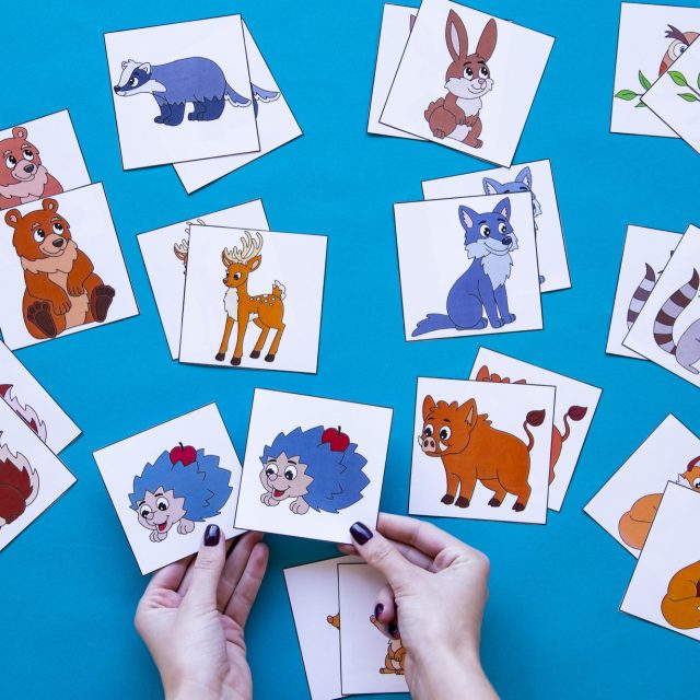 Mon memory des animaux de la forêt - Un jour un jeu