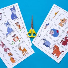 Mon memory des animaux de la forêt - Un jour un jeu