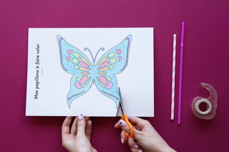 Mon papillon qui s'envole - Un jour un jeu