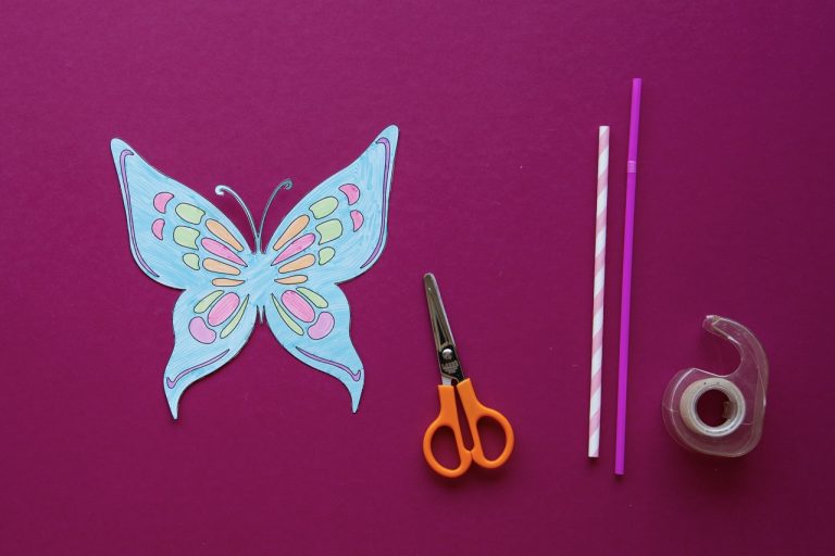Mon papillon qui s'envole - Un jour un jeu
